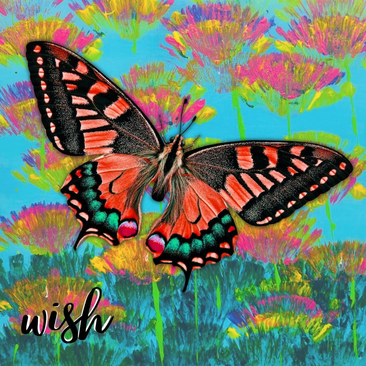 Set of Notecards | Butterfly | 3x3 – Lori McKinnon Art